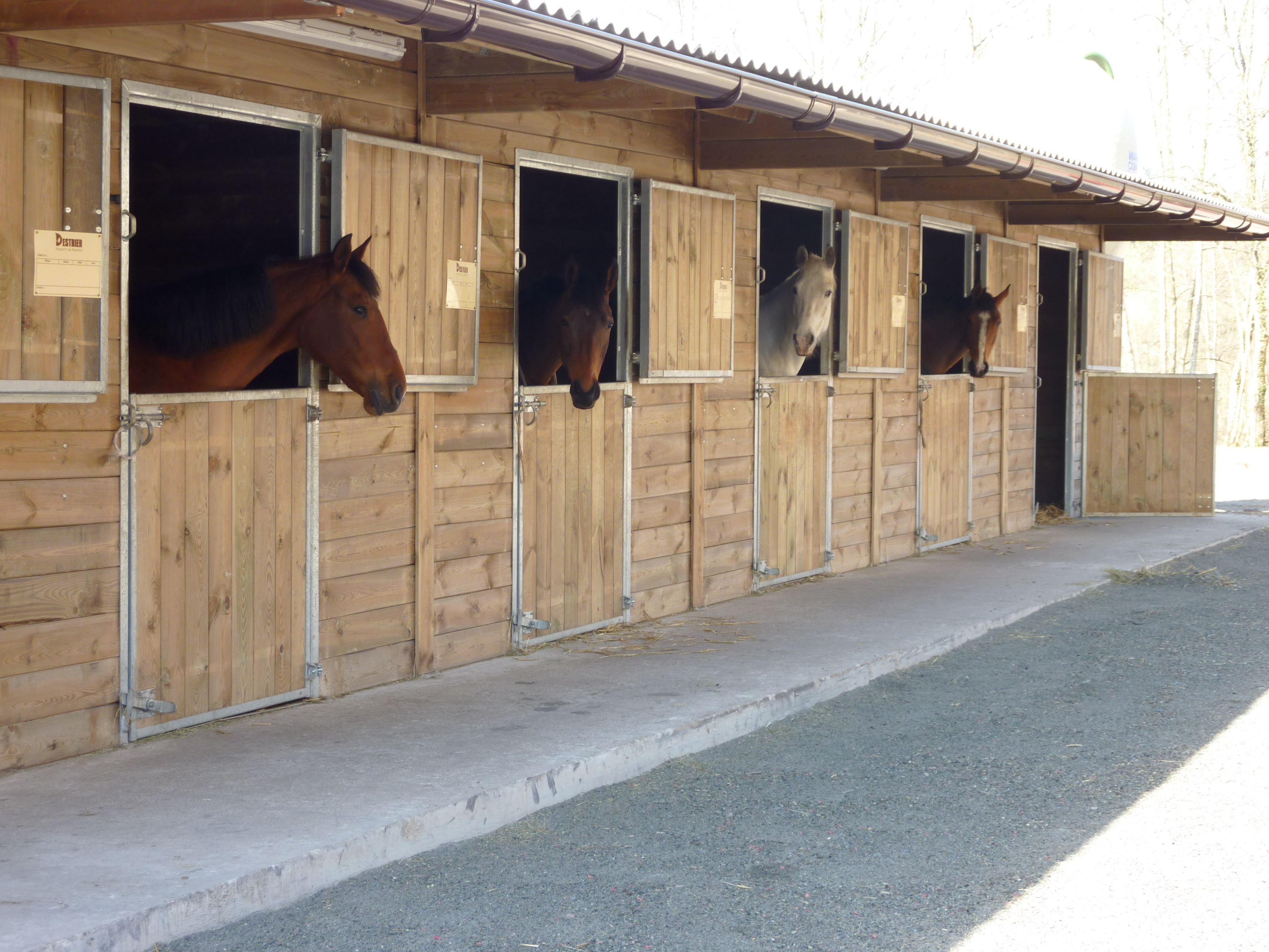 ECURIE DES SAGARDS RAON L ETAPE Massif des Vosges : Equitation, Bouger ... ECURIE DES SAGARDS RAON L ETAPE Massif des Vosges : Equitation, Bouger ...
